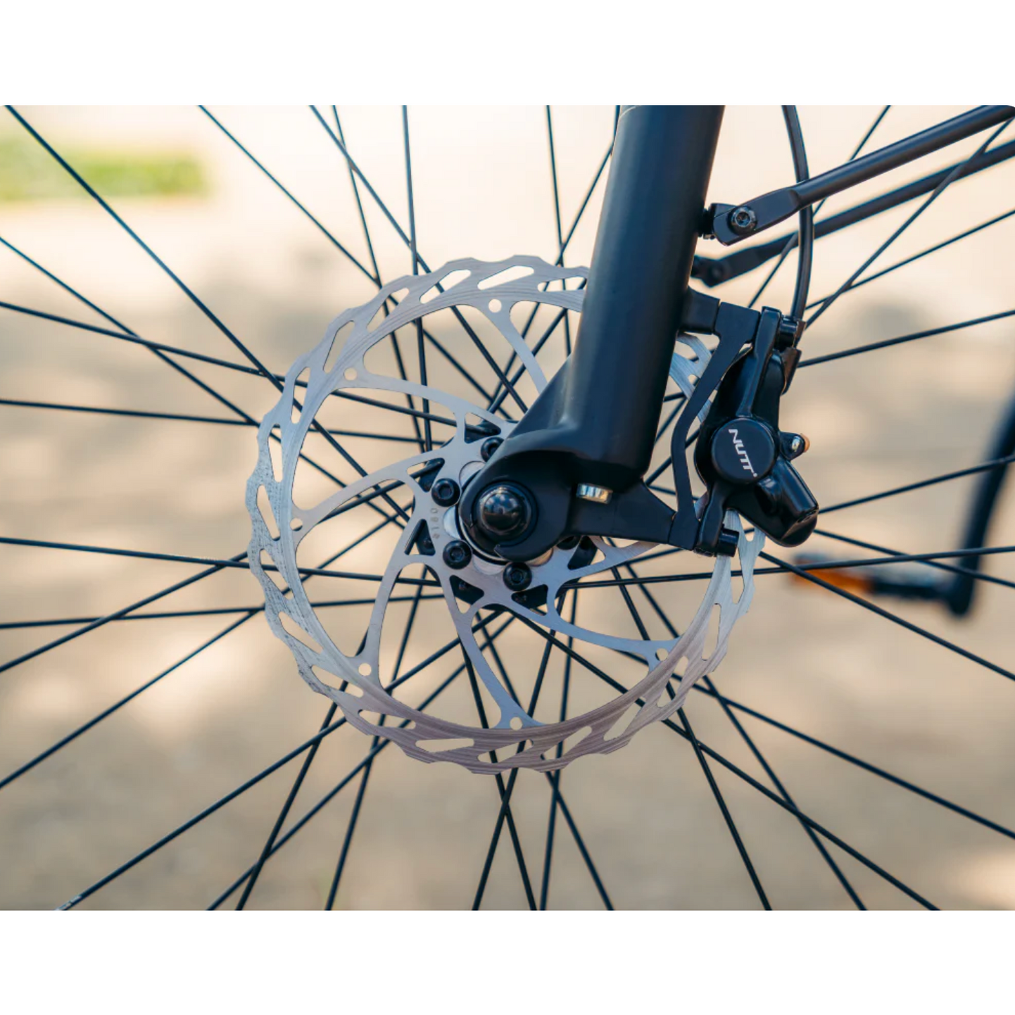 Denago Commute 1 eBike | 60-Mile Range, 500W Motor | Coastal Cruiser — Current Riders