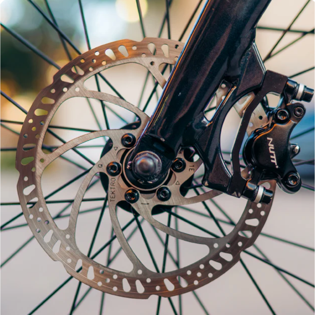 Denago Cargo LT Electric Bike for Hauling Big and Far! — Current Riders